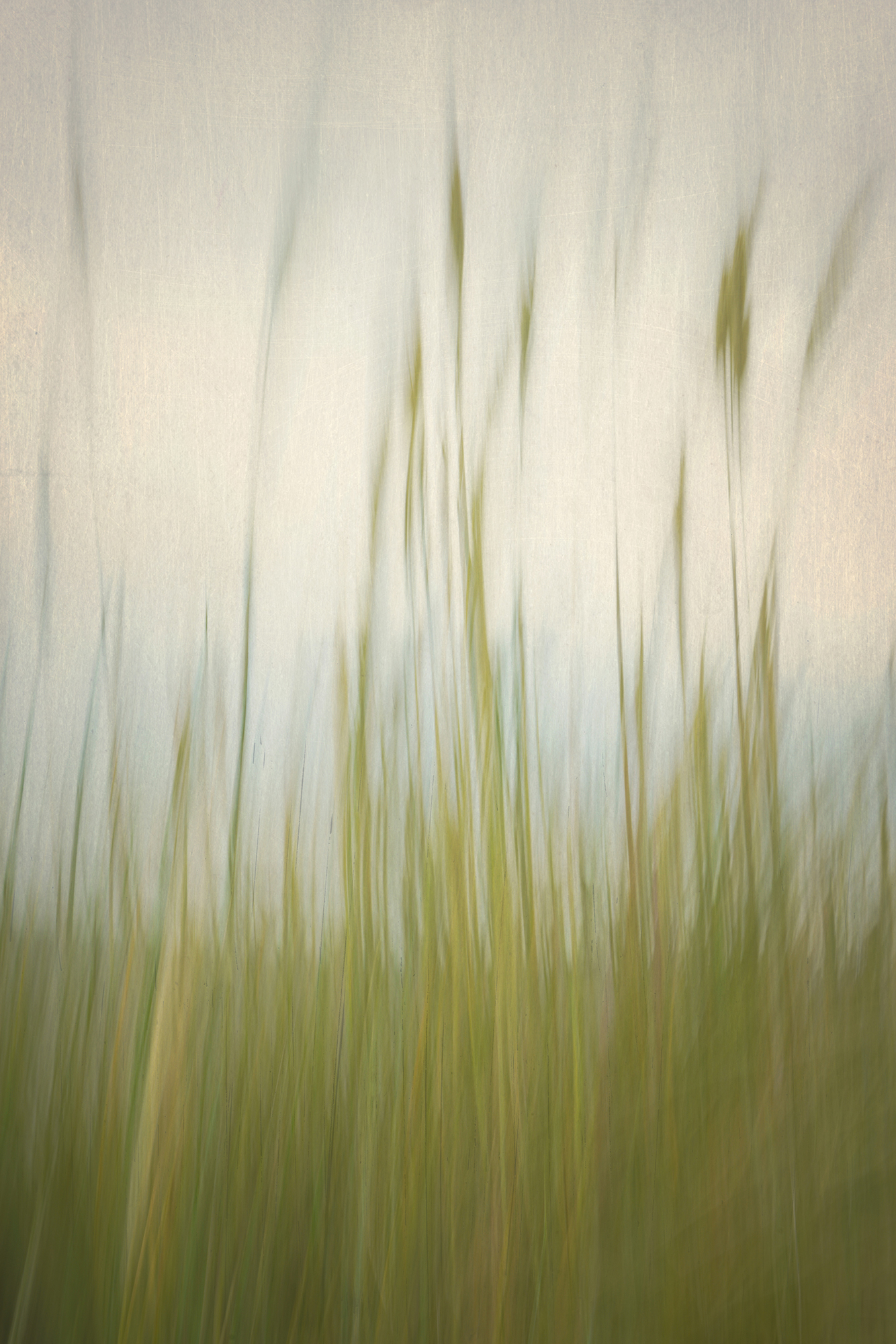 Rachael Smith – Ilford | Premium Imaging Products